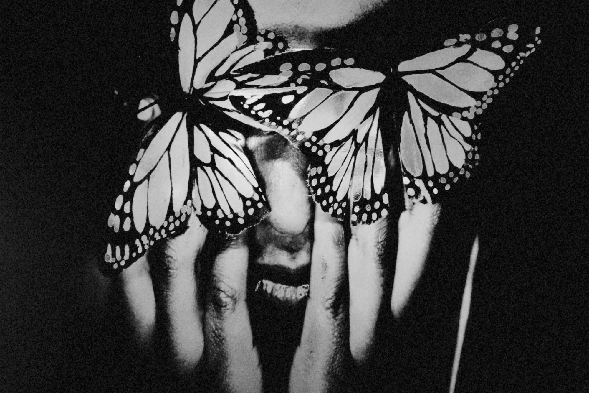 Butterfly Effect Series – LAYLA LOVE COLLECTION